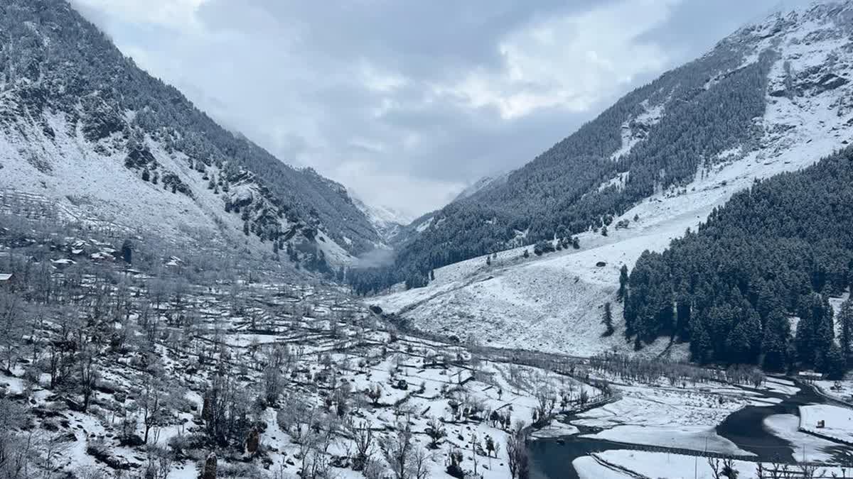 Kashmir Faces Intense Cold Wave, Srinagar Records -3.4°C Amid Freezing ...